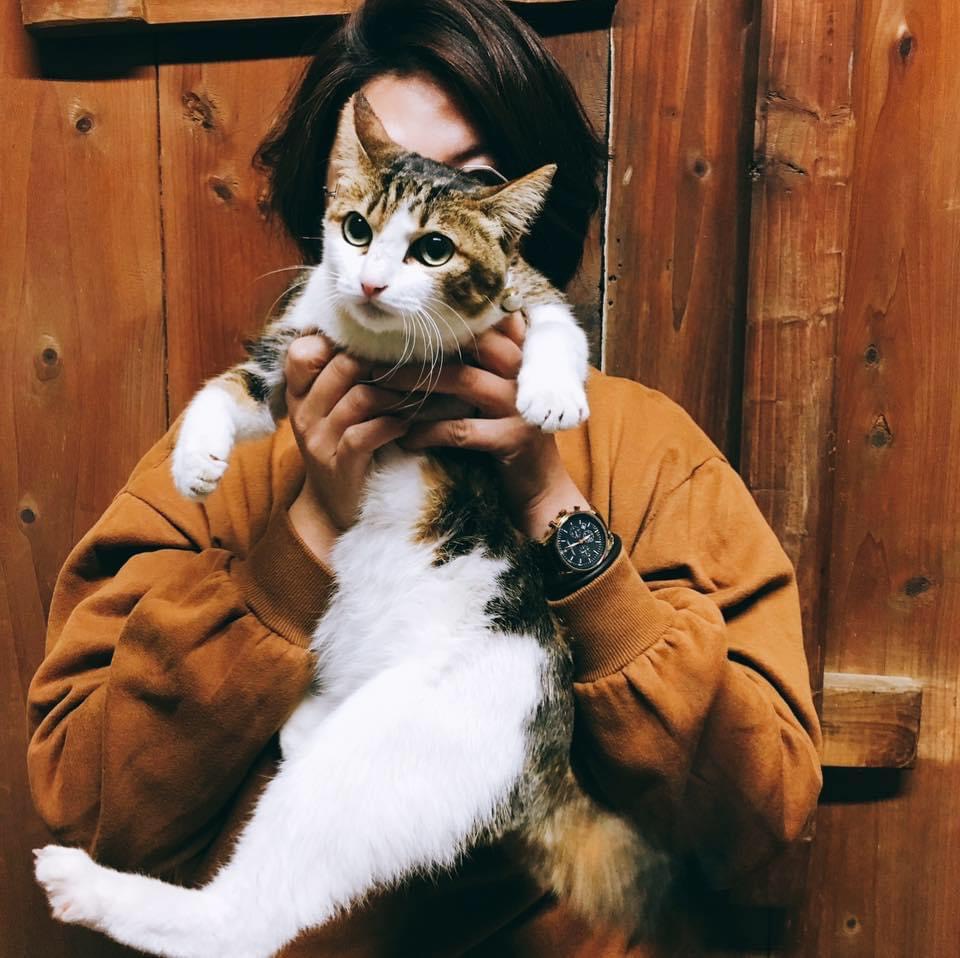 MAGIC HOUR - 免費電影首映及社群交友