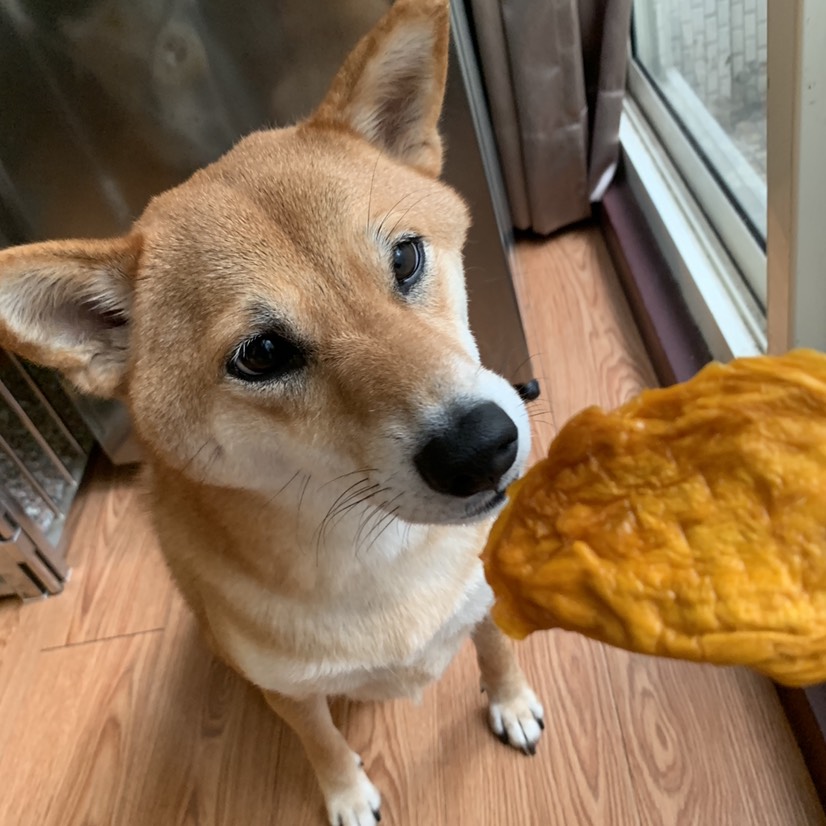 MAGIC HOUR - 免費電影首映及社群交友