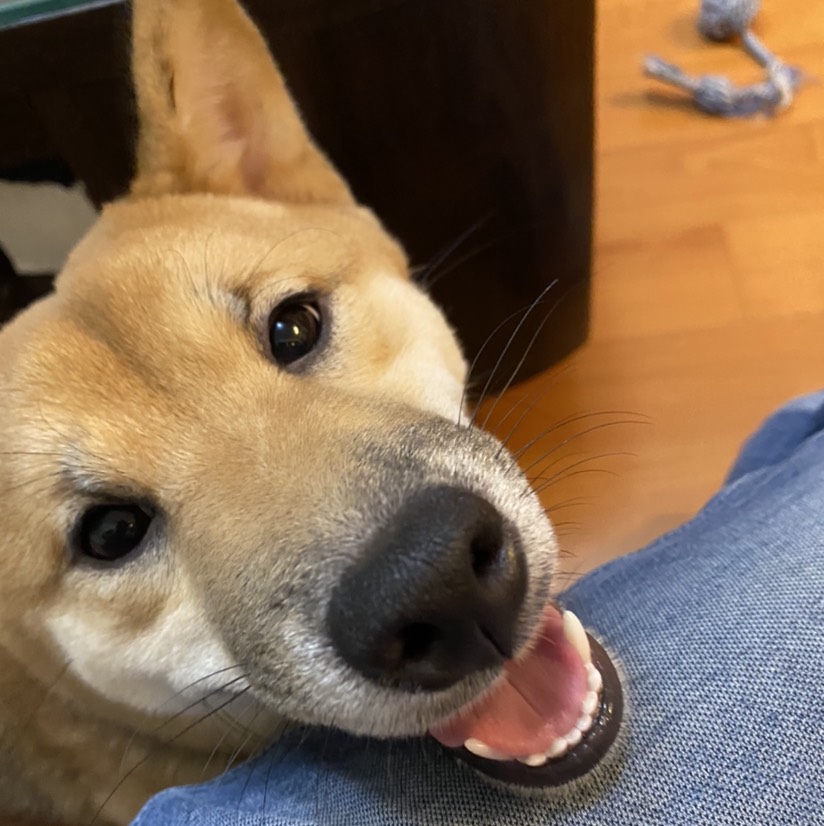 MAGIC HOUR - 免費電影首映及社群交友